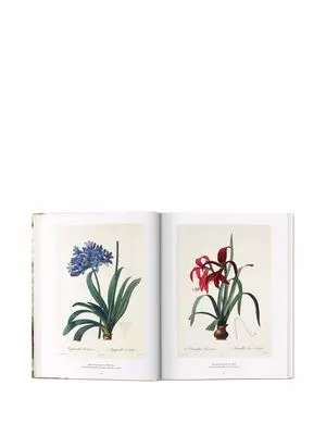 TASCHEN Redouté. The Book Of Flowers. 40th Ed. Book