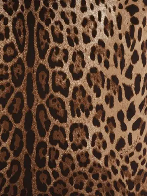 Dolce & Gabbana Large Duchesse Leopard-print Cushion - Brown