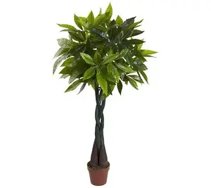 NEARLY NATURAL 4' Money Plant Real Touch By - One-color