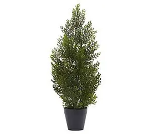 NEARLY NATURAL 2' Mini Cedar Pine Tree By - One-color