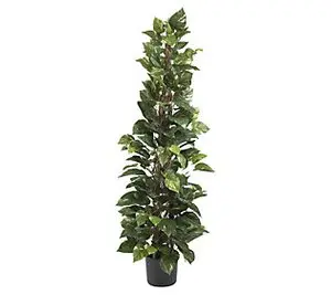NEARLY NATURAL 63' Pothos Climbing Silk Plant Nearly Natura L - One-color