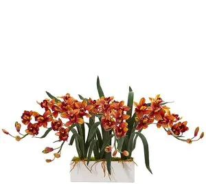 NEARLY NATURAL Cymbidium Arrangement In Vase By - One-color