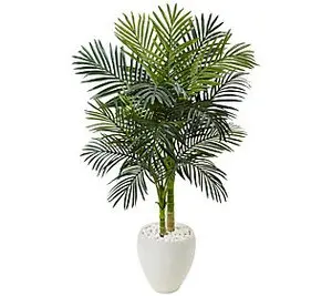 NEARLY NATURAL 4.5' Golden Cane Palm Tree In Planter By - One-color