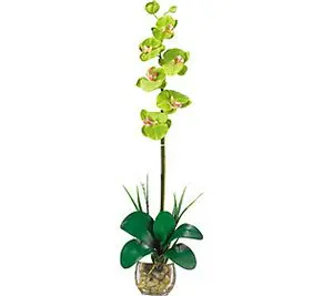 NEARLY NATURAL Single Phalaenopsis Flower Arrangement Nearl Y Natural - One-color