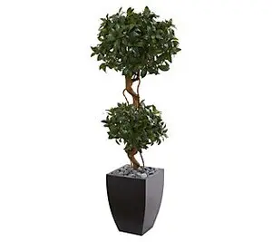 NEARLY NATURAL 4.5' Sweet Bay Double Topiary Tree Nearly Na Tural - One-color