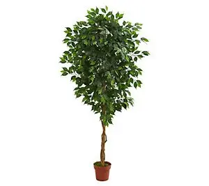 NEARLY NATURAL 6' Ficus Artificial Tree - One-color