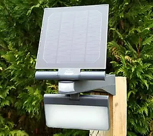 PACIFIC ACCENTS Solar Flood Light 100 Led Flood Light