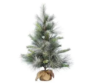 VICKERMAN 48' Frosted Myers Pine Tree Burlap Ba E - One-color