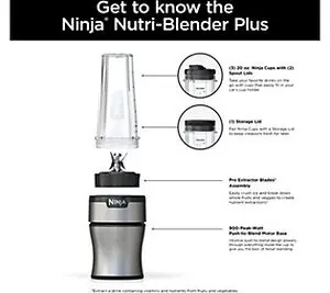 NINJA 20 Oz. Nutri-blender Plus