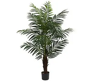 NEARLY NATURAL 5' Areca Palm Tree By - One-color