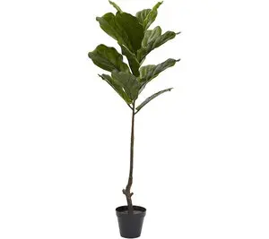 NEARLY NATURAL 4' Indoor/outdoor Fiddle Leaf Tree Nearly Na Tural - One-color