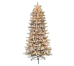 QVC 7.5' Flocked Slim Fraser Fir Artificial Tree 50 0 Clear Lights - One-color