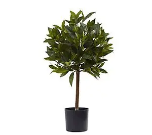 NEARLY NATURAL 2' Sweet Bay Mini Ball Topiary Nearly Natura L - One-color