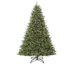 PULEO INTERNATIONAL 9' Pre-lit Franklin Fir Tre E - One-color