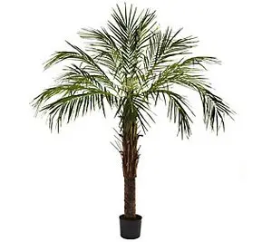 NEARLY NATURAL 6' Robellini Palm Tree By - One-color