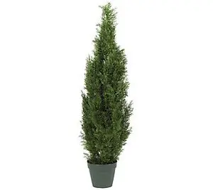 NEARLY NATURAL 4' Cedar Tree Silk Tree By - One-color