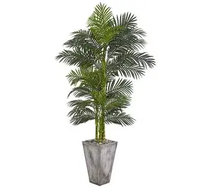 NEARLY NATURAL 7' Golden Cane Palm In Cement Planter By - One-color