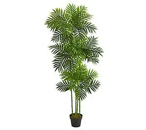 NEARLY NATURAL 6' Phoenix Palm Artificial Tree By - One-color