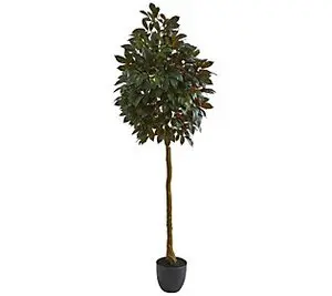 NEARLY NATURAL 75' Artificial Capensia Ficus Tree Nearly Na Tural - One-color