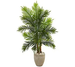 NEARLY NATURAL 5' Areca Tree In Planter Real Touch Nearly N Atural - One-color