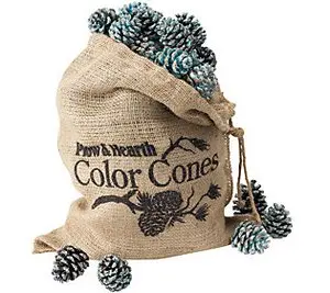 PLOW & HEARTH Color-changing Fireplace Cones, 2lb. Bag