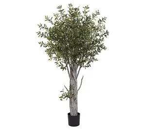 NEARLY NATURAL 6' Olive Tree By - One-color