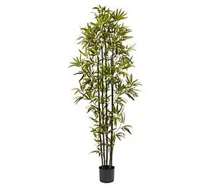 PURE GARDEN 6' Artificial Bamboo Plant With Gre En Trunk - One-color