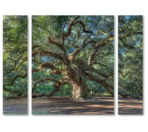 LAVISH HOME Pierre Leclerc Angel Oak Charleston 3-piece Print - One-color