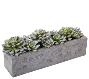 NEARLY NATURAL Succulent Garden In Concrete Planter Nearly Atural - One-color