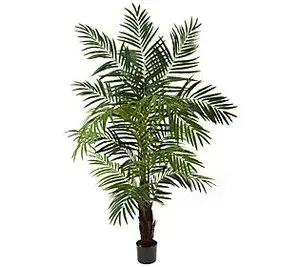NEARLY NATURAL 6' Areca Palm Tree By - One-color