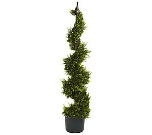 NEARLY NATURAL 4' Cypress Spiral Silk Tree By - One-color