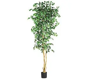 NEARLY NATURAL 7' Ficus Silk Tree By