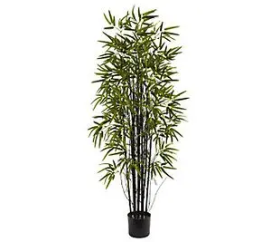 NEARLY NATURAL 5' Black Bamboo Tree By