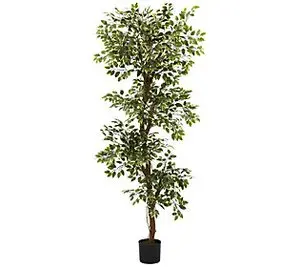 NEARLY NATURAL 6' Variegated Ficus Silk Tree By - One-color