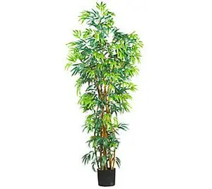 NEARLY NATURAL 6' Curved Trunk Bamboo Tree By - One-color