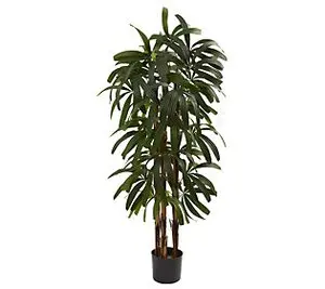 NEARLY NATURAL 4' Raphis Palm Tree By - One-color