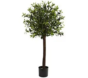 NEARLY NATURAL 4' Olive Topiary Tree By - One-color