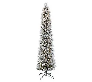 QVC 6.5' Flocked Patagonia Pine Artificial Tree 300 Clear Lights - One-color
