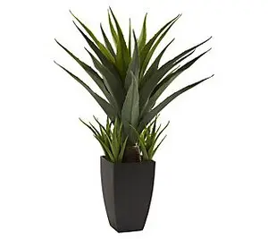 NEARLY NATURAL 2-1/2' Agave W/black Planter By - One-color