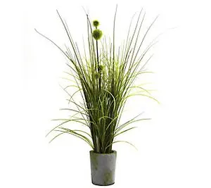 NEARLY NATURAL Grass & Dandelion With Cement Planter By - One-color