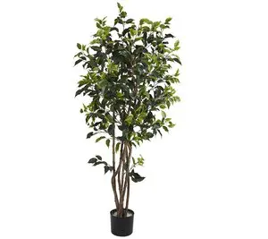 NEARLY NATURAL 5' Ficus Bushy Silk Tree By - One-color