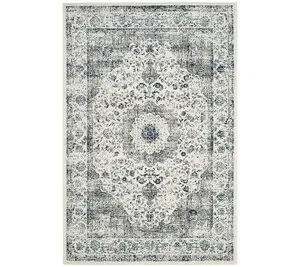 SAFAVIEH Evoke Sutton 4' X 6' Rug