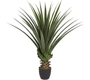 NEARLY NATURAL 4' Spiked Agave Plant By - One-color