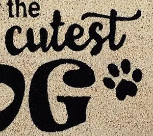 DESIGN IMPORTS World's Cutest Dog Doormat