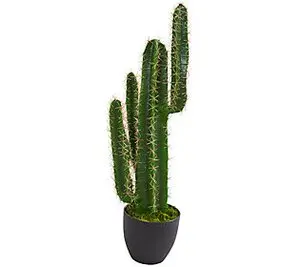 NEARLY NATURAL 2.5' Cactus Artificial Plant By - One-color