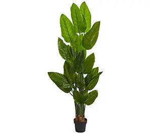 NEARLY NATURAL 6' Artificial Canna Tree By - One-color