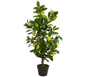 NEARLY NATURAL 3' Artificial Lemon Tree By - One-color