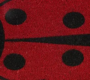 DESIGN IMPORTS Lady Bug Doormat