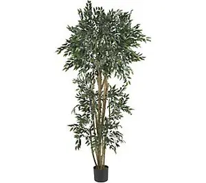 NEARLY NATURAL 6' Green Ash Silk Tree By - One-color