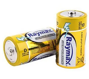 RAYMAX Alkaline D Batteries 24-pack
